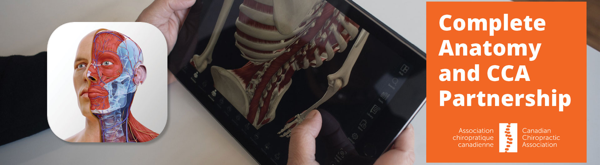 Complete Anatomy - Chiropractium